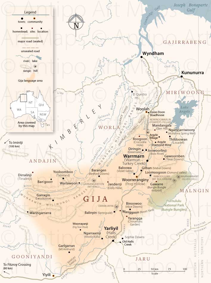 Gallery | https://antipo.com.au